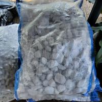 Jual Batu Coral Putih Terlengkap & Terbaik - Harga Murah Juni 2024
