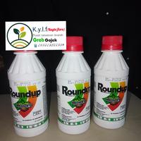 Jual Roundup Murah & Terbaik - Harga Terbaru Maret 2025