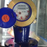 Jual Water Meter Terbaik - Harga Murah Juni 2024 & Cicil 0%