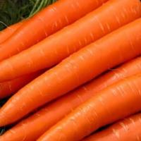 Jual Wortel Import Terdekat - Harga Murah & Grosir April 2024