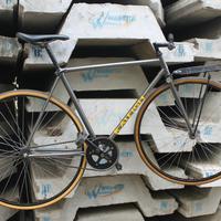 Sepeda Fixie yang Gesit dengan Model Menarik - November 2024