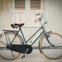 Jual Sepeda Simplex Murah & Terbaik - Harga Terbaru Juni 2024