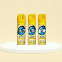 Jual Lemon Pledge Murah - Harga Terbaru April 2024