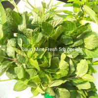 Jual Daun Mint Segar Terdekat - Harga Murah & Grosir Desember 2024