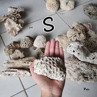 Jual Batu Coral Terlengkap & Terbaik - Harga Murah Desember 2024