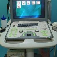 Jual Usg 4D Murah - Harga Terbaru Mei 2024