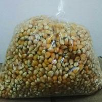 Jual Jagung Popcorn 1kg Murah - Harga Terbaru 2024