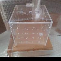 Jual Box Ikan Terlengkap & Terbaik - Harga Murah Mei 2024