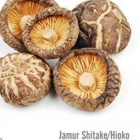 Jual Jamur Shitake Terdekat - Harga Murah & Grosir Mei 2025