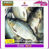 Jual Ikan Mas Hidup Terlengkap & Terbaik - Harga Murah Juni 2024