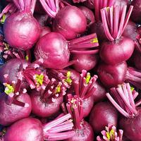 Buah Bit Harga Termurah & Grosir - Pilihan Terlengkap