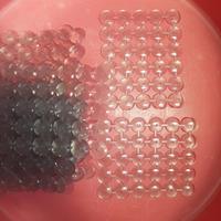 Jual Paku Seng Terbaik - Harga Murah Juli 2025 & Cicil 0%