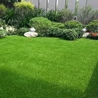 Rumput Jepang Harga Terbaru - Pilihan Terlengkap