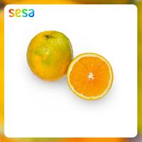 Jual Jeruk Baby Terlengkap - Harga Murah Juni 2024 & Cicil 0%