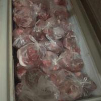 Jual Daging Babi Hutan Segar Terdekat - Harga Murah & Grosir Maret 2024