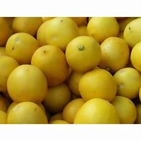 Jual Jeruk Lemon Lokal Terdekat - Harga Murah & Grosir Juni 2024