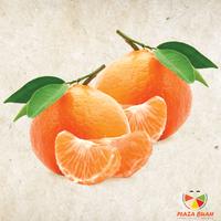 Jual Jeruk Wogan Terdekat - Harga Murah & Grosir Mei 2024