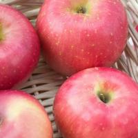 Jual Buah Apel Fuji Terdekat - Harga Murah & Grosir Juni 2024