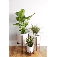 Pot Bunga dengan Aneka Model Unik & Menarik Juli 2025