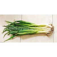 Jual Bawang Pre Terdekat - Harga Murah & Grosir Juni 2024