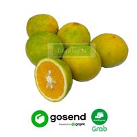 Jual Jeruk Baby Java Murah - Harga Terbaru 2021