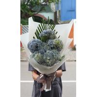 Jual Buket Bunga Hydrangea Terlengkap - Harga Murah & Grosir Mei 2024