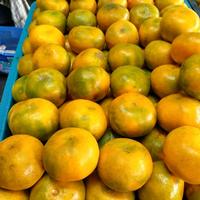 Jual Jeruk Medan Super Terdekat - Harga Murah & Grosir Februari 2023