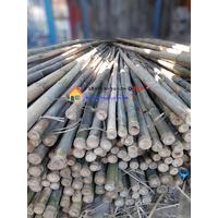 Jual Steger Terbaik - Harga Murah Mei 2024 & Cicil 0%