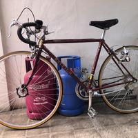 Jual Sepeda Raleigh Terbaik - Harga Murah Maret 2024 & Cicil 0%