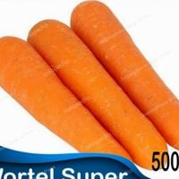 Jual Wortel 1 Kg Murah - Harga Terbaru 2024