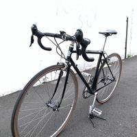 Jual Sepeda Raleigh Terbaik - Harga Murah Juni 2024 & Cicil 0%