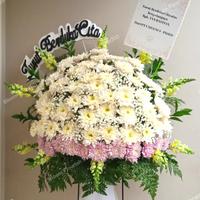 Jual Oasis Bunga Terbaik - Harga Murah Juni 2024 & Cicil 0%