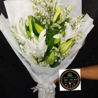 Bunga Lily Segar & Warna Lengkap! Terbaru Maret 2024