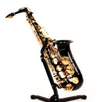 Jual Saxophone Terlengkap - Harga Murah Maret 2025