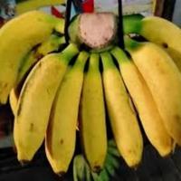 Jual Pisang Raja Bulu Terdekat - Harga Murah & Grosir Februari 2024