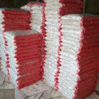 Jual Batu Coral Putih Terlengkap & Terbaik - Harga Murah Mei 2024