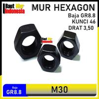 Jual Mur M30 Terbaik - Harga Murah Maret 2024 & Cicil 0%