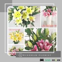 Jual Bunga Lily Asli Terlengkap - Harga Murah & Grosir Mei 2024