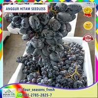 Jual Anggur Autumn Terdekat - Harga Murah & Grosir Februari 2025