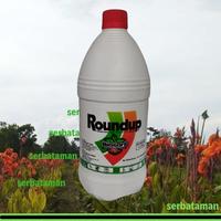 Jual Roundup 1 Liter Murah & Terbaik - Harga Terbaru Februari 2025