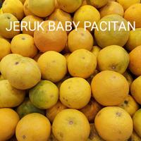Jual Jeruk Baby Pacitan Terdekat - Harga Murah & Grosir Mei 2024