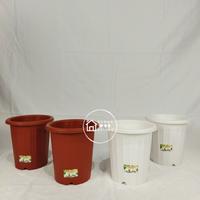 Pot Bunga dengan Aneka Model Unik & Menarik Maret 2025