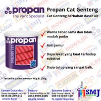 Cat Genteng Anti Jamur & Warna Glossy Januari 2024 - Tokopedia