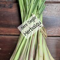 Jual Sereh Segar Terdekat - Harga Murah & Grosir April 2025