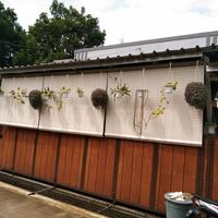 Jual Krei Pvc Terbaik - Harga Murah Juni 2024 & Cicil 0%