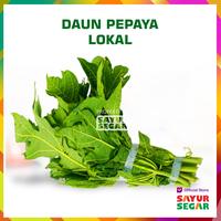 Daun Selada Harga Termurah - Pilihan Favorit