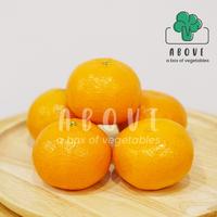 Jual Jeruk Honey Murcot Terdekat - Harga Murah & Grosir November 2023