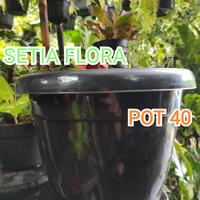 Jual Pot Tanaman Besar Terbaik - Harga Murah Mei 2025 & Cicil 0%