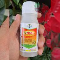 Jual Decis Murah & Terbaik - Harga Terbaru Maret 2024