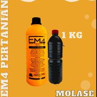 Jual Em4 Pertanian Terbaik - Harga Murah April 2025 & Cicil 0%